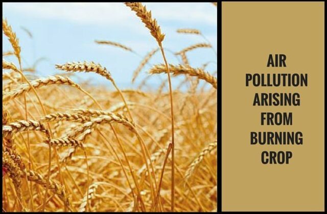 Punjab's crop residue burning threatens South Asian air quality - PGurus