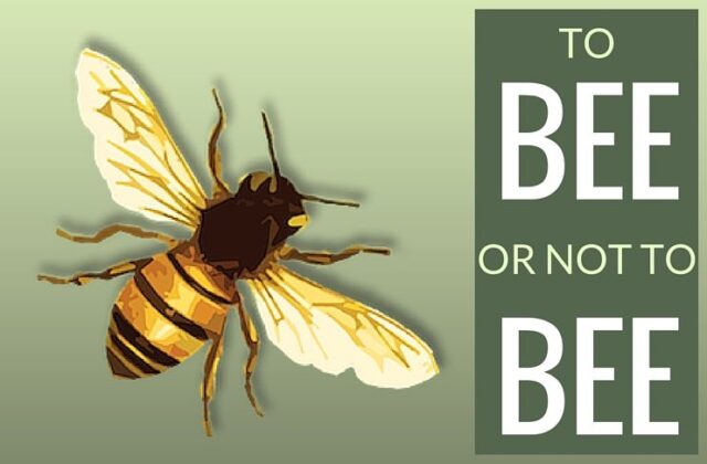 To Bee or not to Bee - that is the question! - PGurus