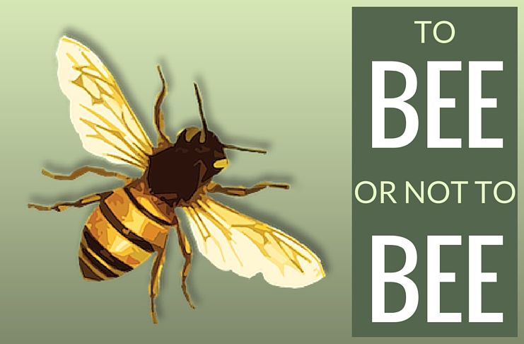 To Bee or not to Bee - that is the question! - PGurus