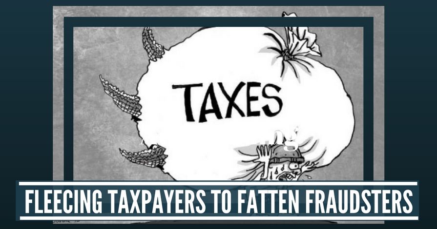 Fleecing taxpayers to fatten fraudsters - PGurus