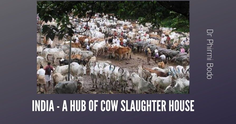 Sad Cow Slaughter
