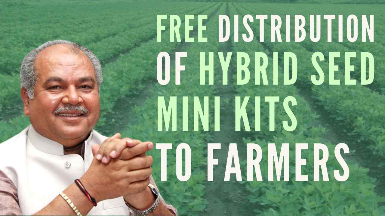 In a major agricultural reform, govt to distribute hybrid seed mini ...