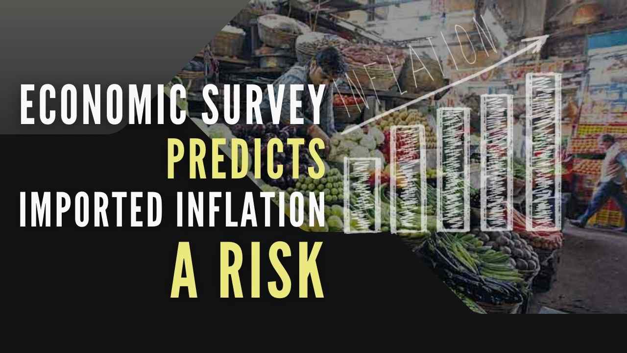 Economic survey 2021-22 warns India needs to be wary of imported ...