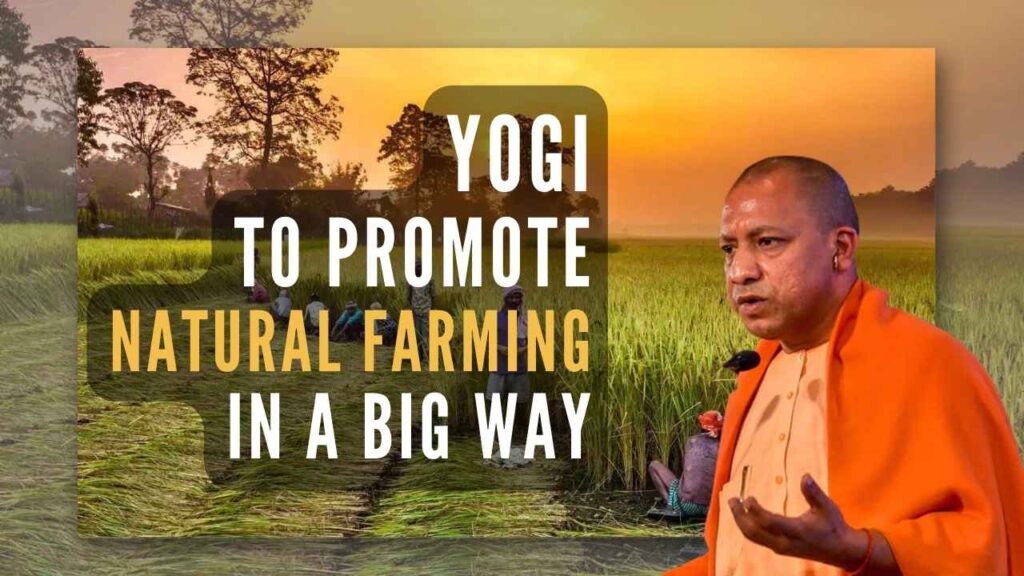 Yogi Adityanath to promote natural farming in a big way - PGurus