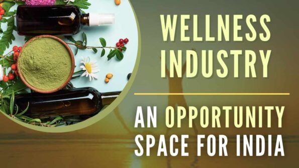 Wellness Industry: An opportunity space for India - PGurus