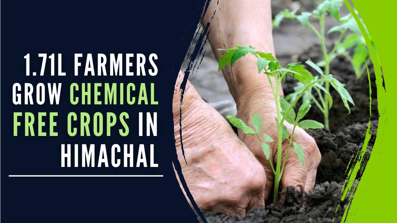 Prakritik Kheti Khushal Kisan Yojana: 1.71 lakh farmers grow chemical ...
