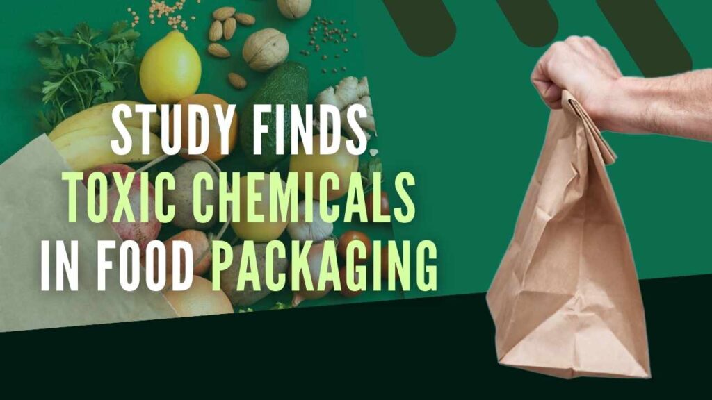 Paper Bags, Compostable Food Packages May Contain Toxic Chemicals