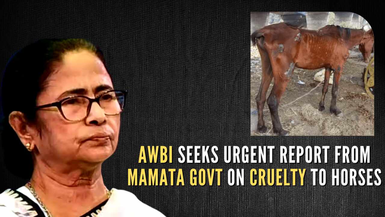 Animal Welfare Board of India Seeks Urgent Report from Mamata