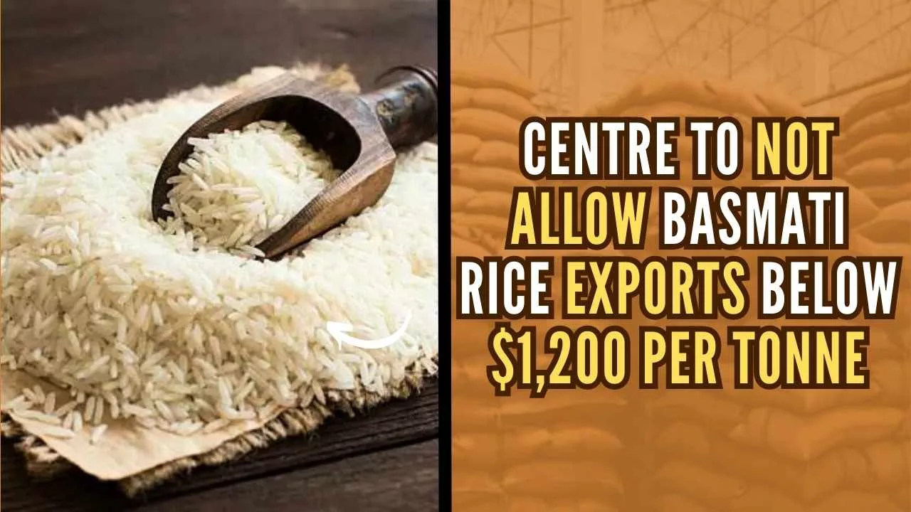 Centre to Not Allow Basmati Rice Exports Below $1,200 Per Tonne
