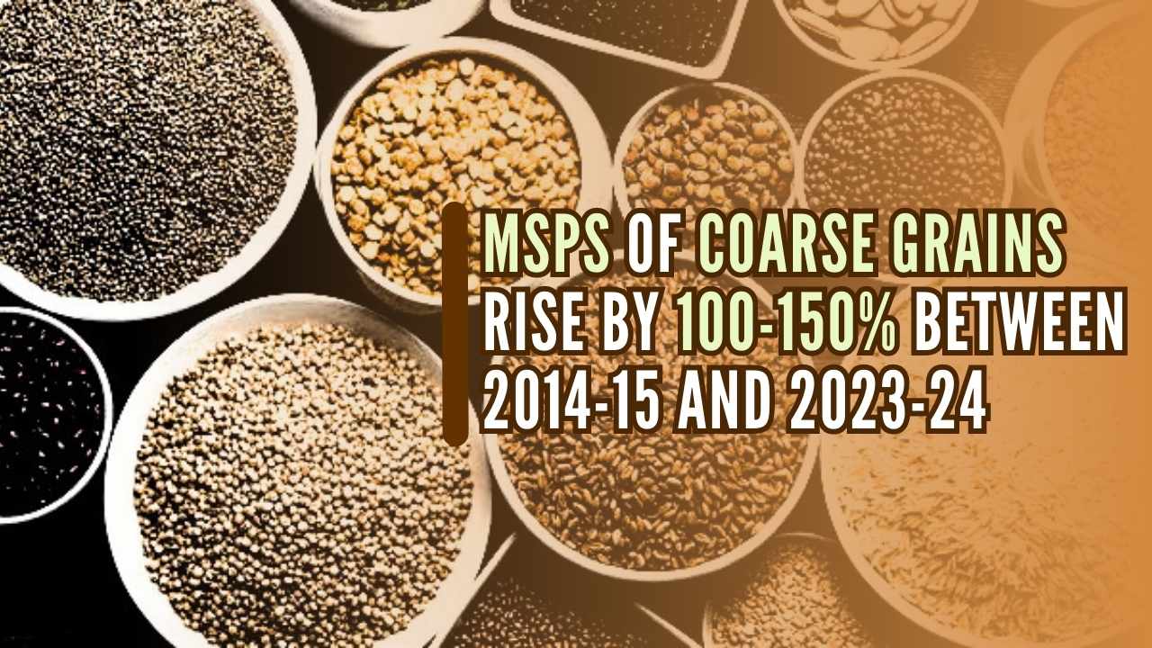 MSPs of Coarse Grains Rise by 100-150%