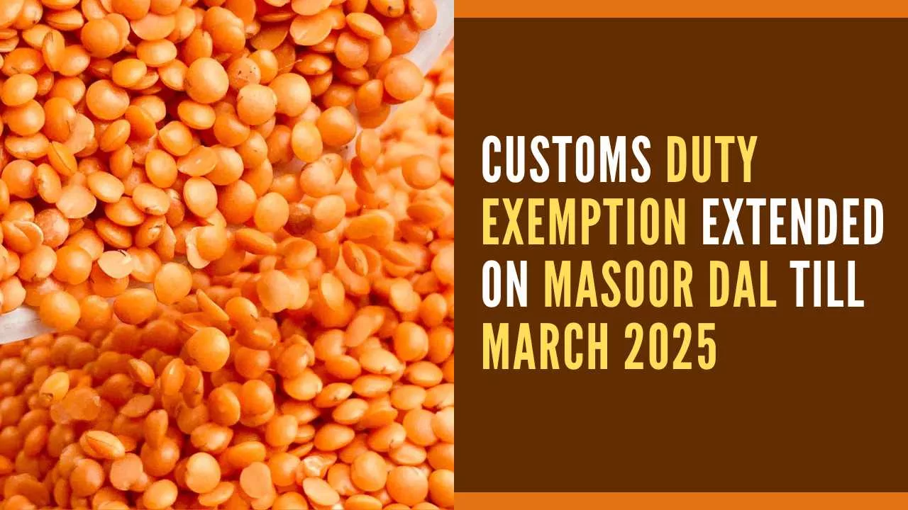 Customs Duty Exemption Extended on Masoor Dal till March 2025