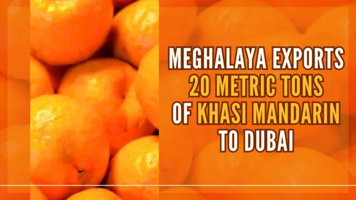 Meghalaya Exports 20 Metric Tons of Khasi Mandarin to Dubai