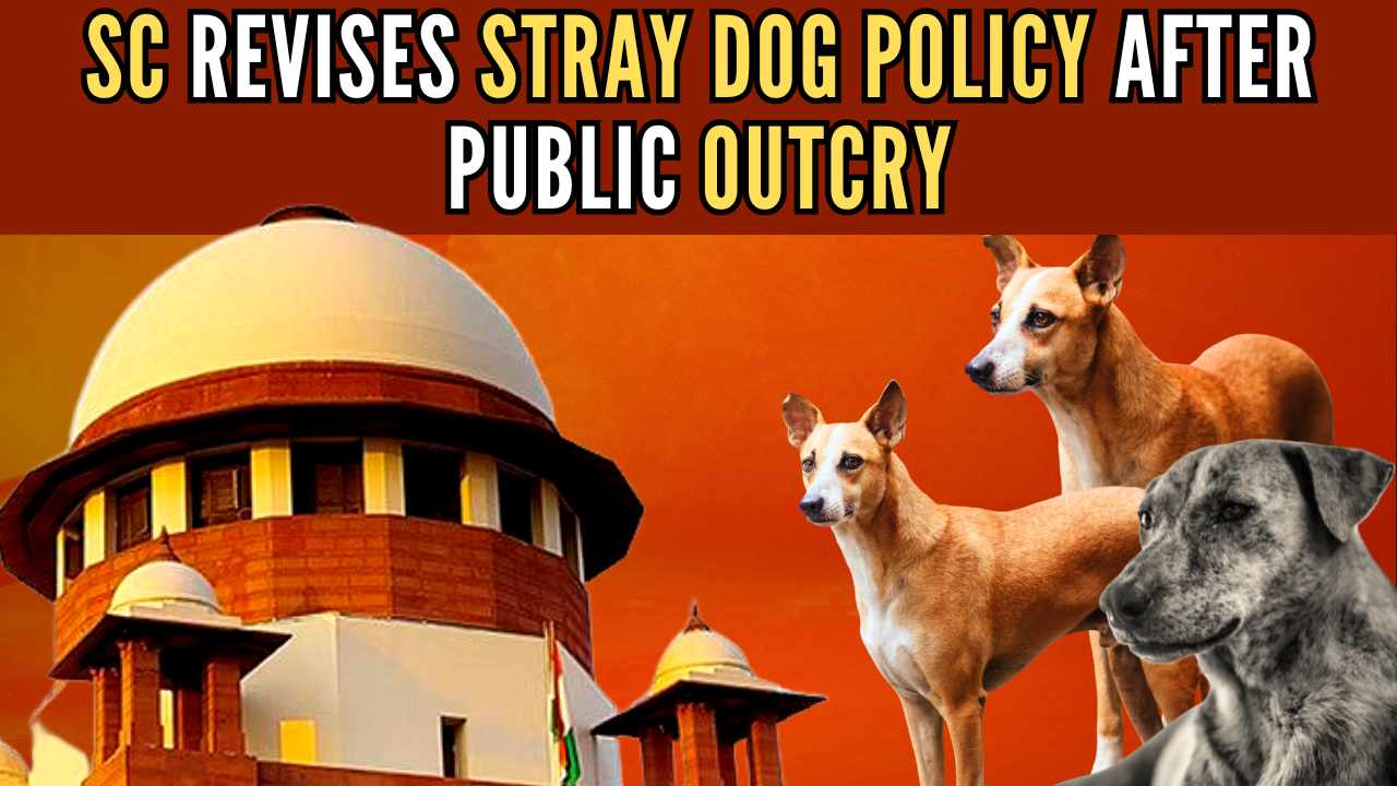 Supreme Court Modifies Order on Stray Dogs in Delhi