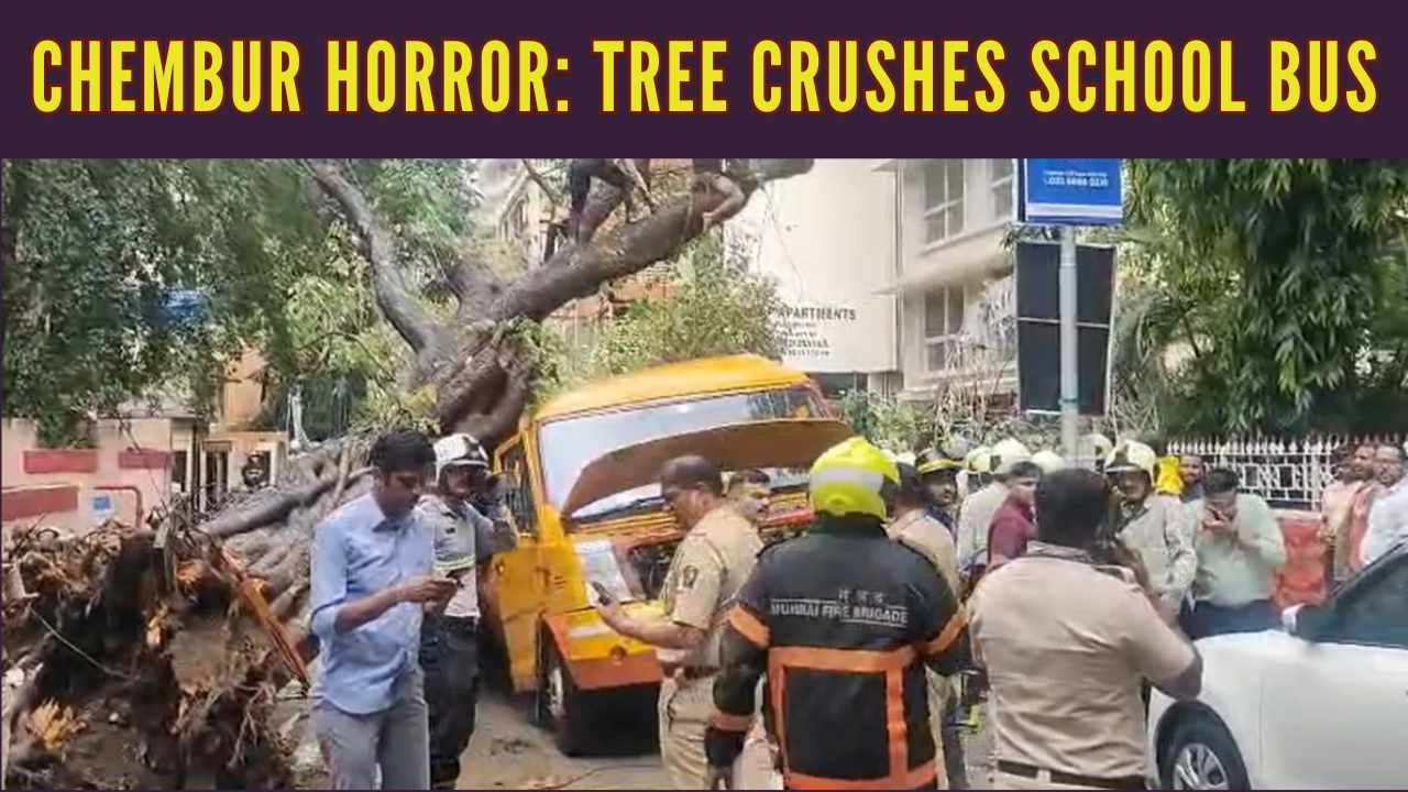 Mumbai school bus accident: Student killed, 10 injured after tree falls ...