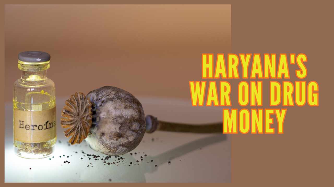Haryana anti-drug crackdown: 2 held with 13 kg opium, house worth Rs 30 ...